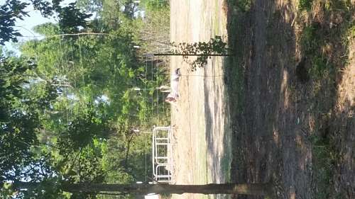 Nichols Ranch on EquineNow