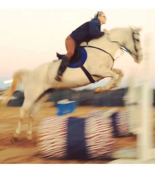 Stoney Point Ranch on EquineNow