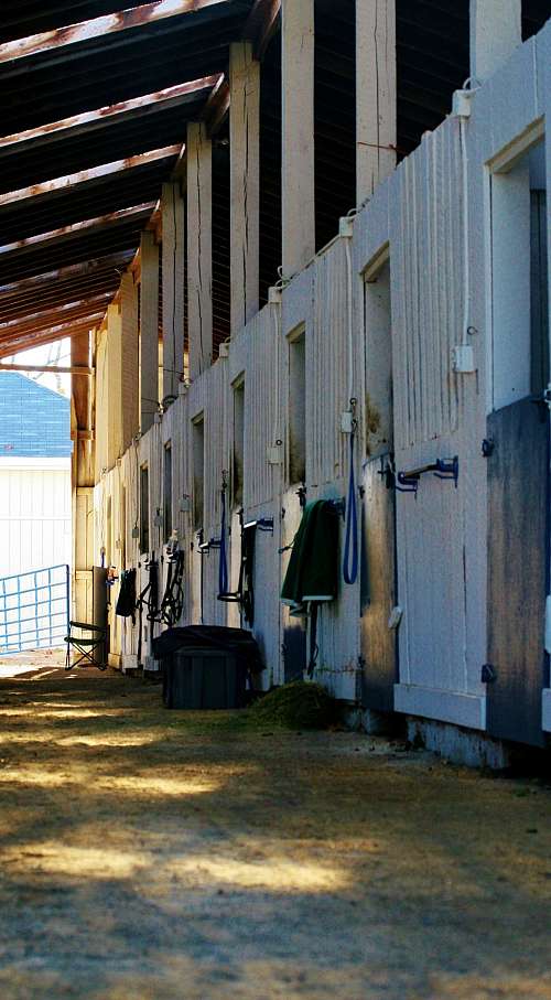 Blue Ribbon Farm on EquineNow