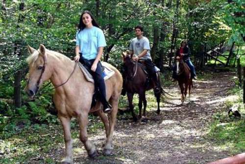 Free Spirit Thoroughbred Farm on EquineNow