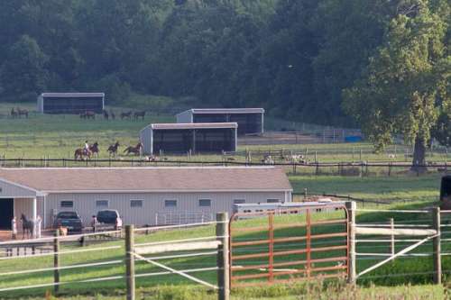 Foggy Bottom Farm on EquineNow