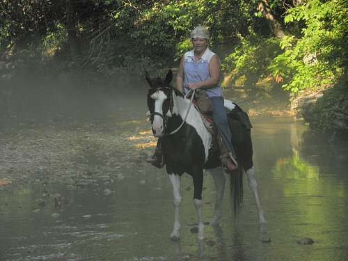 Savannah Stables on EquineNow
