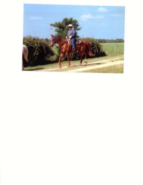 Broken Heart Ranch on EquineNow