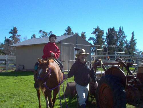 T Bar D Ranch on EquineNow