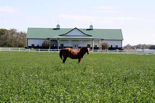 Remington Farm on EquineNow