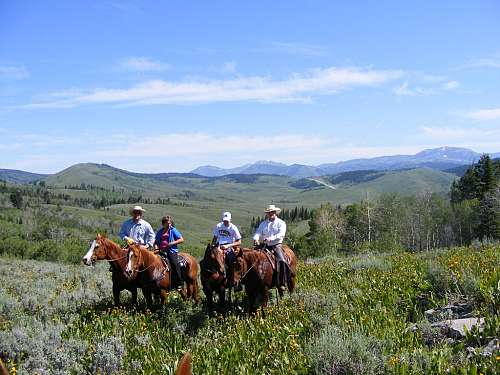 Diamond Ranch on EquineNow