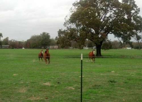 Silver Lake Ranch on EquineNow