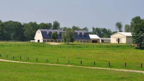 North Riding on EquineNow