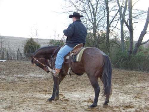 Rafter J Ranch on EquineNow