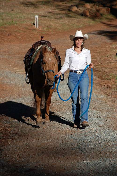 Flying Heart Ranch on EquineNow