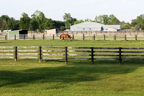 Cutting Edge Performance Horses on EquineNow