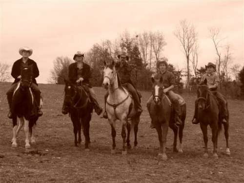 Copperhead Ranch on EquineNow