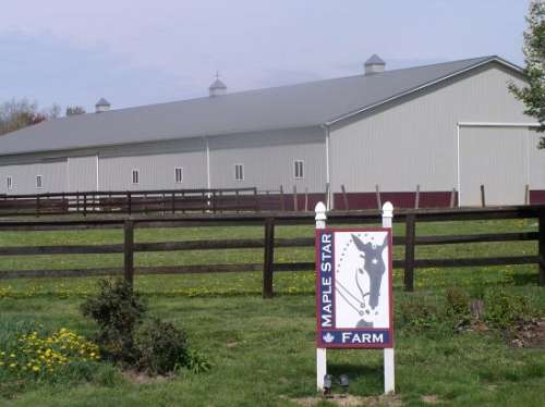 Maple Star Farm on EquineNow