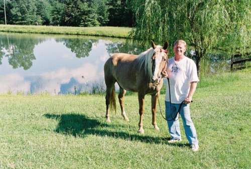 Guess Stables on EquineNow