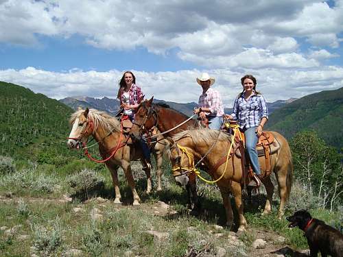 Vail Stables on EquineNow