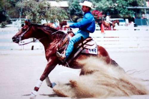 Rick Baer Training Stables Western Reining horse on EquineNow