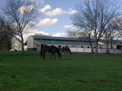 Flying G Ranch on EquineNow