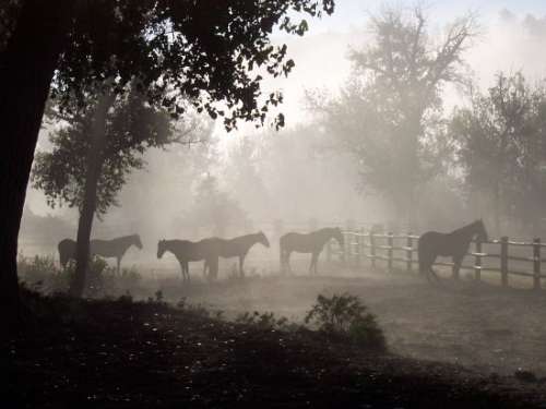 Standing Rock Ranch on EquineNow