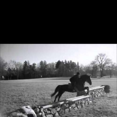 Gaston Farm on EquineNow