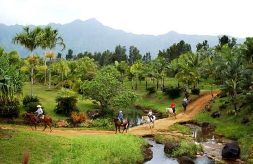 Silver Falls Ranch on EquineNow