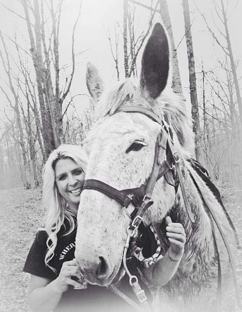 Rode-em-In Ranch on EquineNow