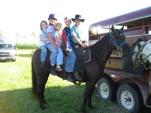 Happy Horse Ranch on EquineNow