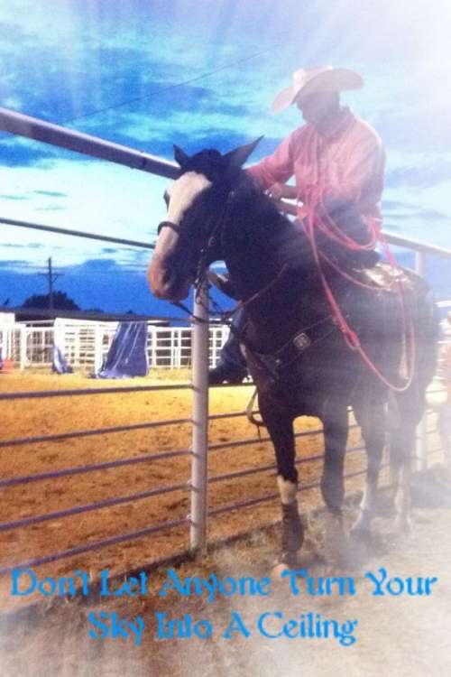 Mitchell Performance Horses on EquineNow