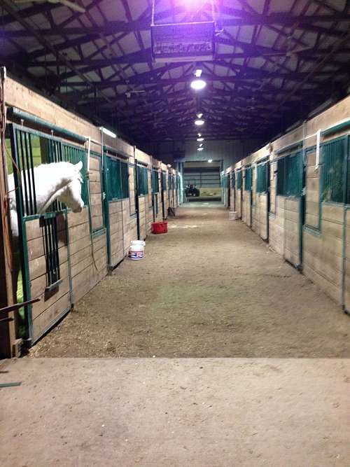 Blue Magnum Stables on EquineNow