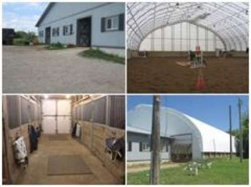 Cedar Sand Stables on EquineNow