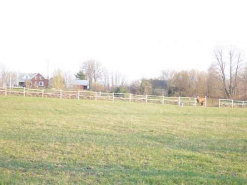 LUPIN FARM - EQUINE RETREAT IN THE HEART OF COTTAG on EquineNow