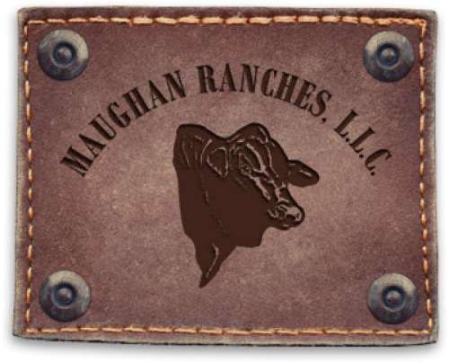 Maughan Ranches on EquineNow