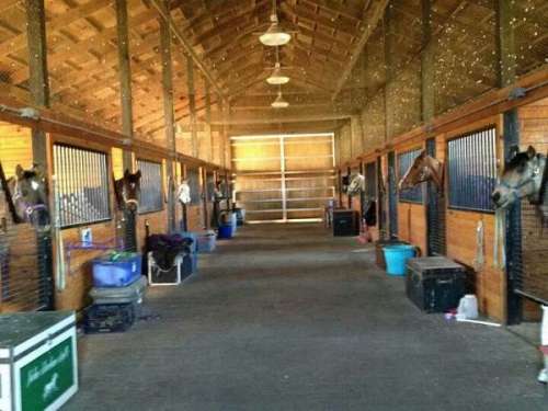 Dream Riders LLC on EquineNow