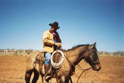 Gibson Horse Training on EquineNow