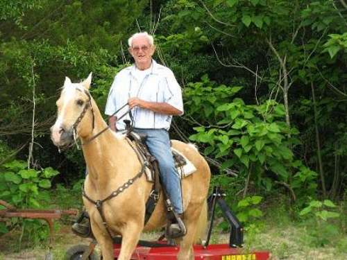 R R Ranch on EquineNow