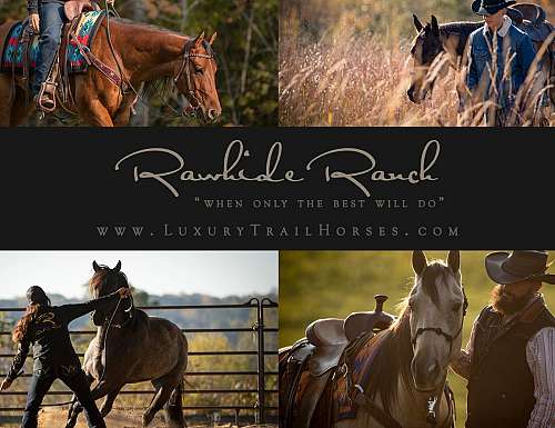 Rawhide Ranch Luxury Trail Horses on EquineNow