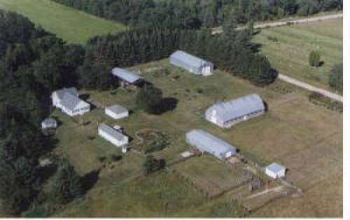 Double D Ranch on EquineNow