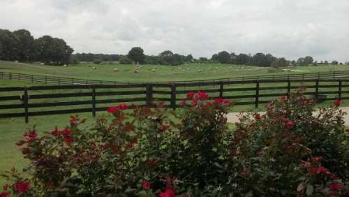 Omega Farm Equestrian Center on EquineNow