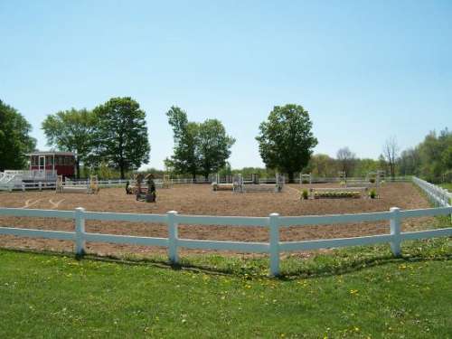 Alpine Ridge Farms on EquineNow