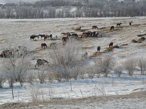 Goetz Ranch on EquineNow