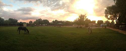 Bosque Circle Ranch on EquineNow