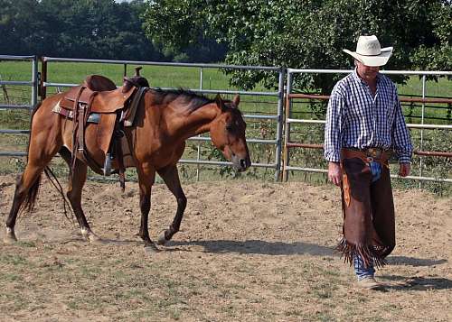 3L Horse Ranch on EquineNow