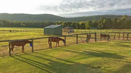 Cedar Run Farm on EquineNow