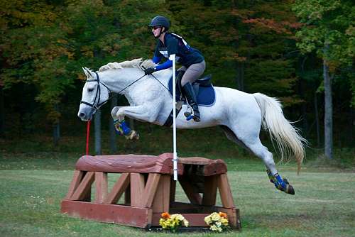 Cedar Ridge Equestrian Center on EquineNow