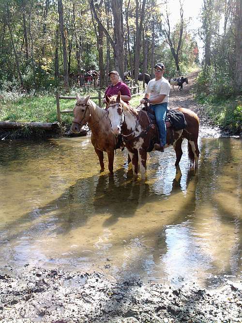 Ravens Ranch on EquineNow