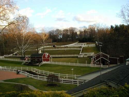 Evergreen Miniature Horse Farm on EquineNow