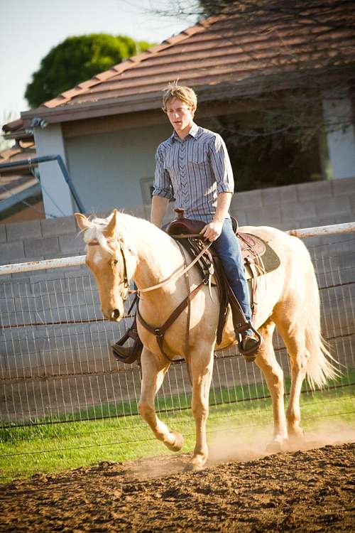 Colt Starting on EquineNow