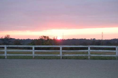 Caraway Farm on EquineNow