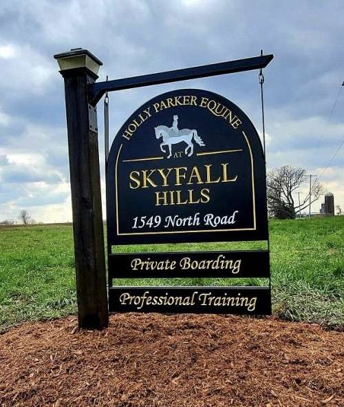 Skyfall Hills on EquineNow