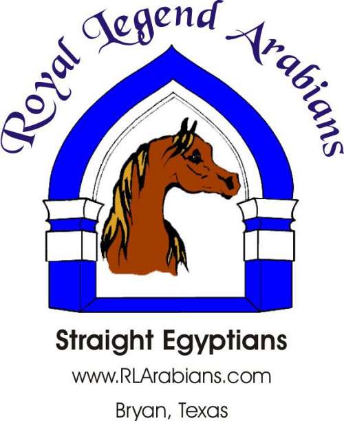 Royal Legend on EquineNow
