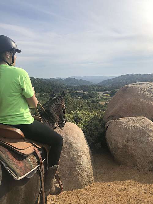 Melrose Ranch on EquineNow